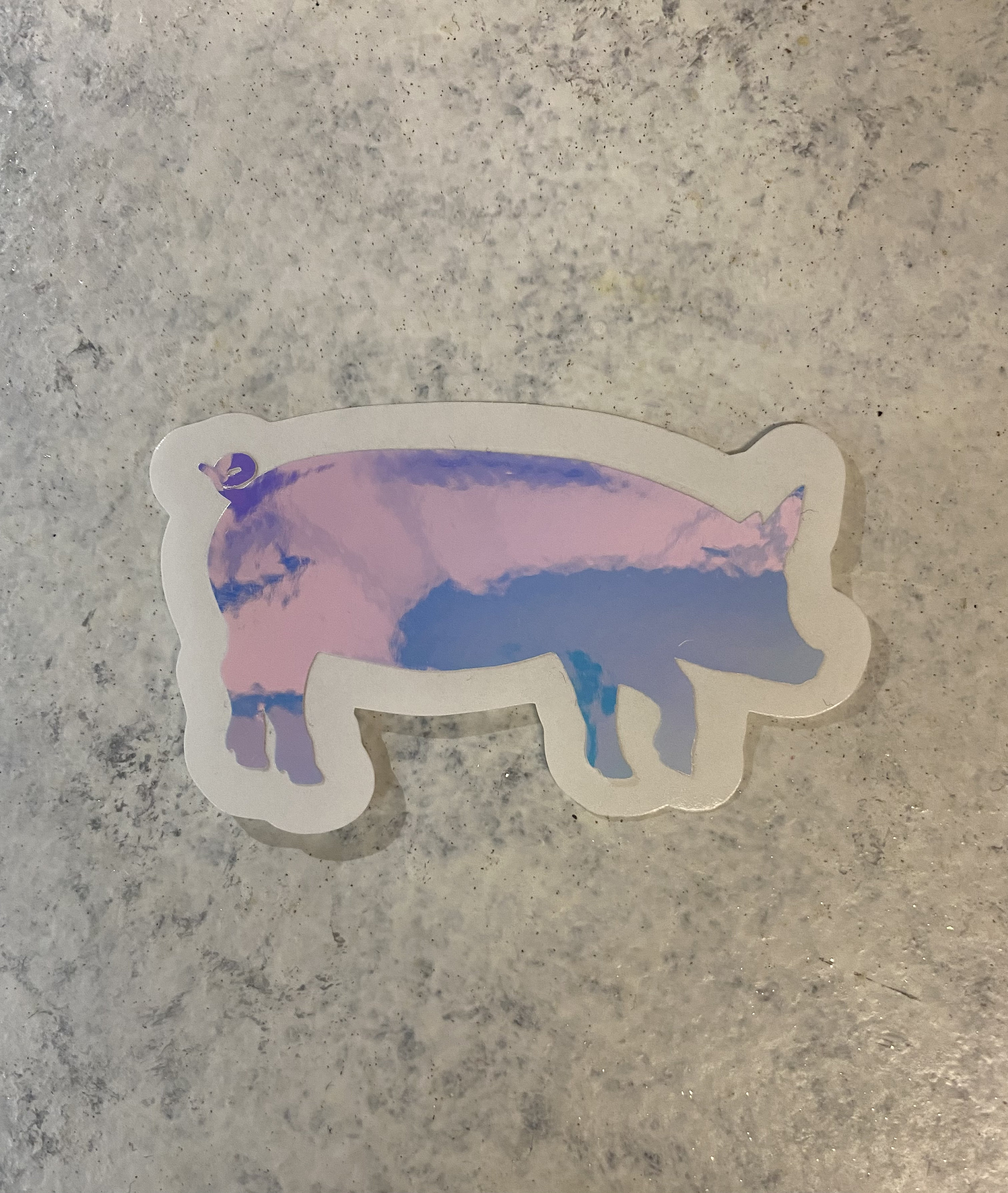 Cute Small Holographic Pig Vinyl Decal / Sticker for Computer | Etsy