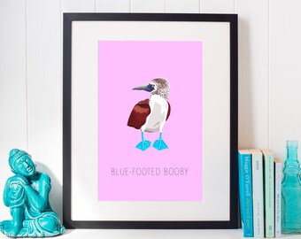 Blue Footed Booby Wall Art - Etsy