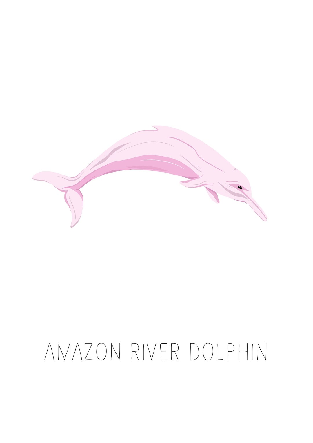 Amazon River Dolphin Print, Cute Tropical Illustration, Brazil Wildlife ...