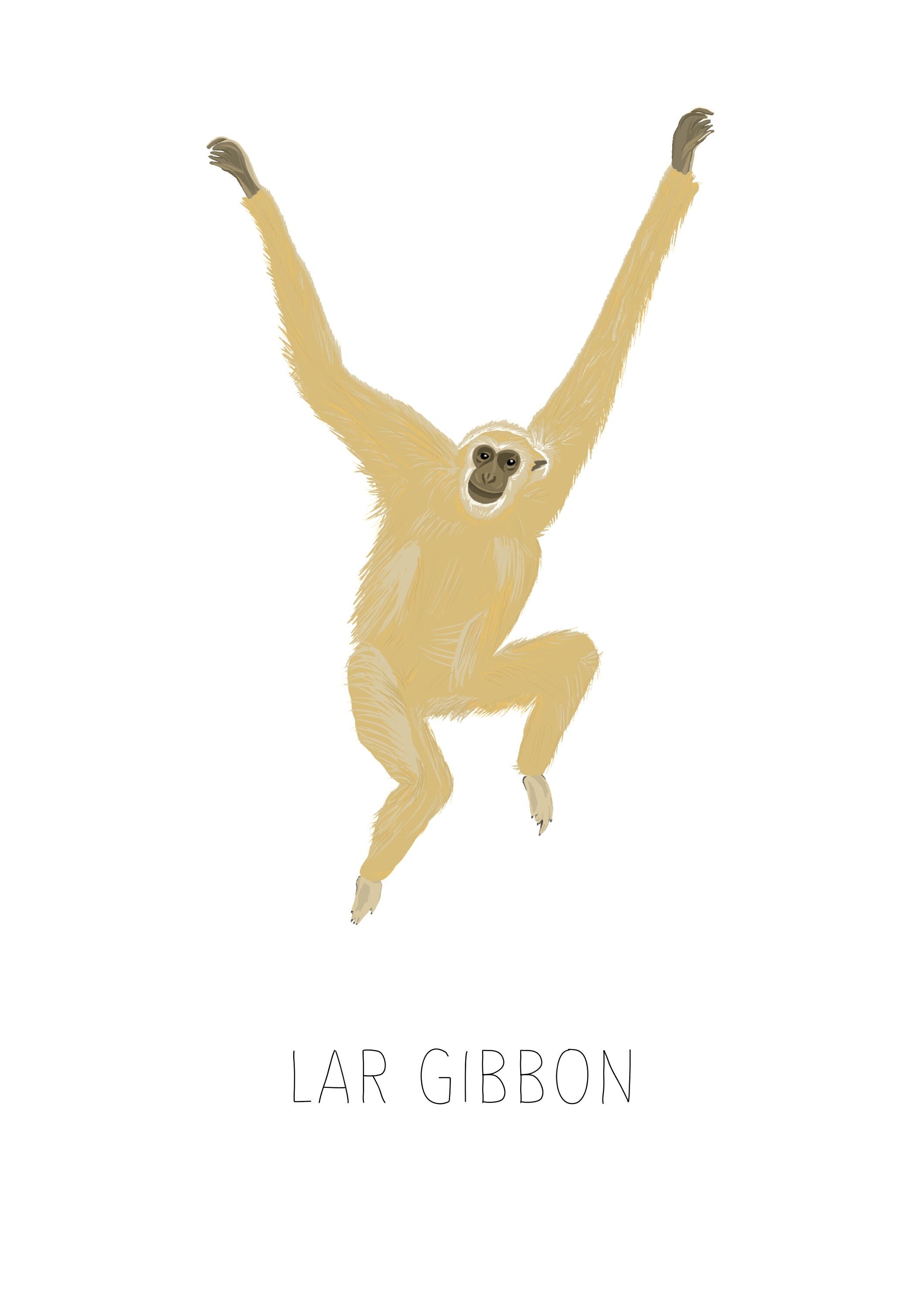 Lar Gibbon Print, Wildlife Ape Poster, Tropical Monkey Jungle ...