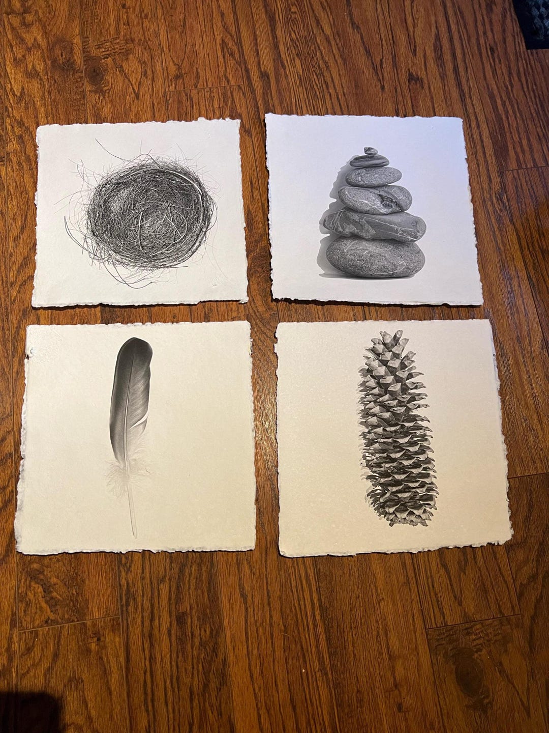 Black White Bird Nest, Blake Hornberger, Photography - Etsy