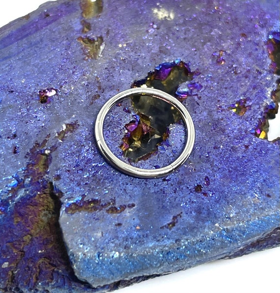 16 Gauge 5/16 Titanium Hinged Segment Ring 8mm Diameter | Etsy