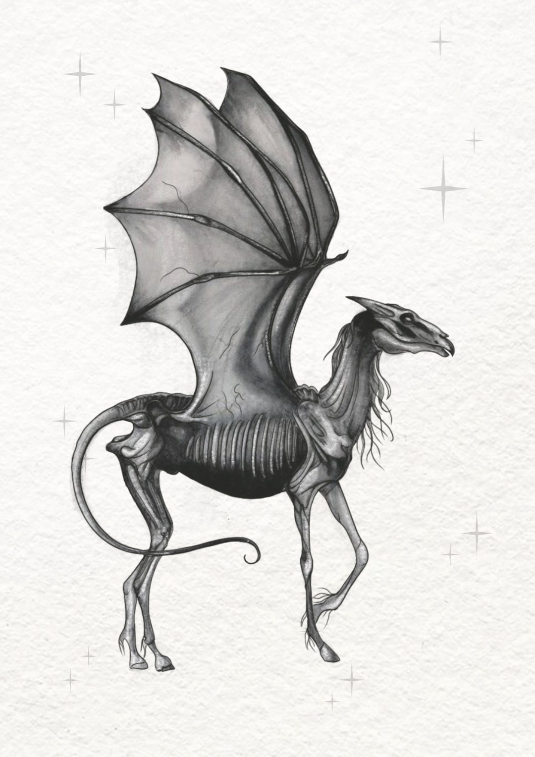 Thestral Harry Potter Hogwarts Art Print on White Hammered - Etsy