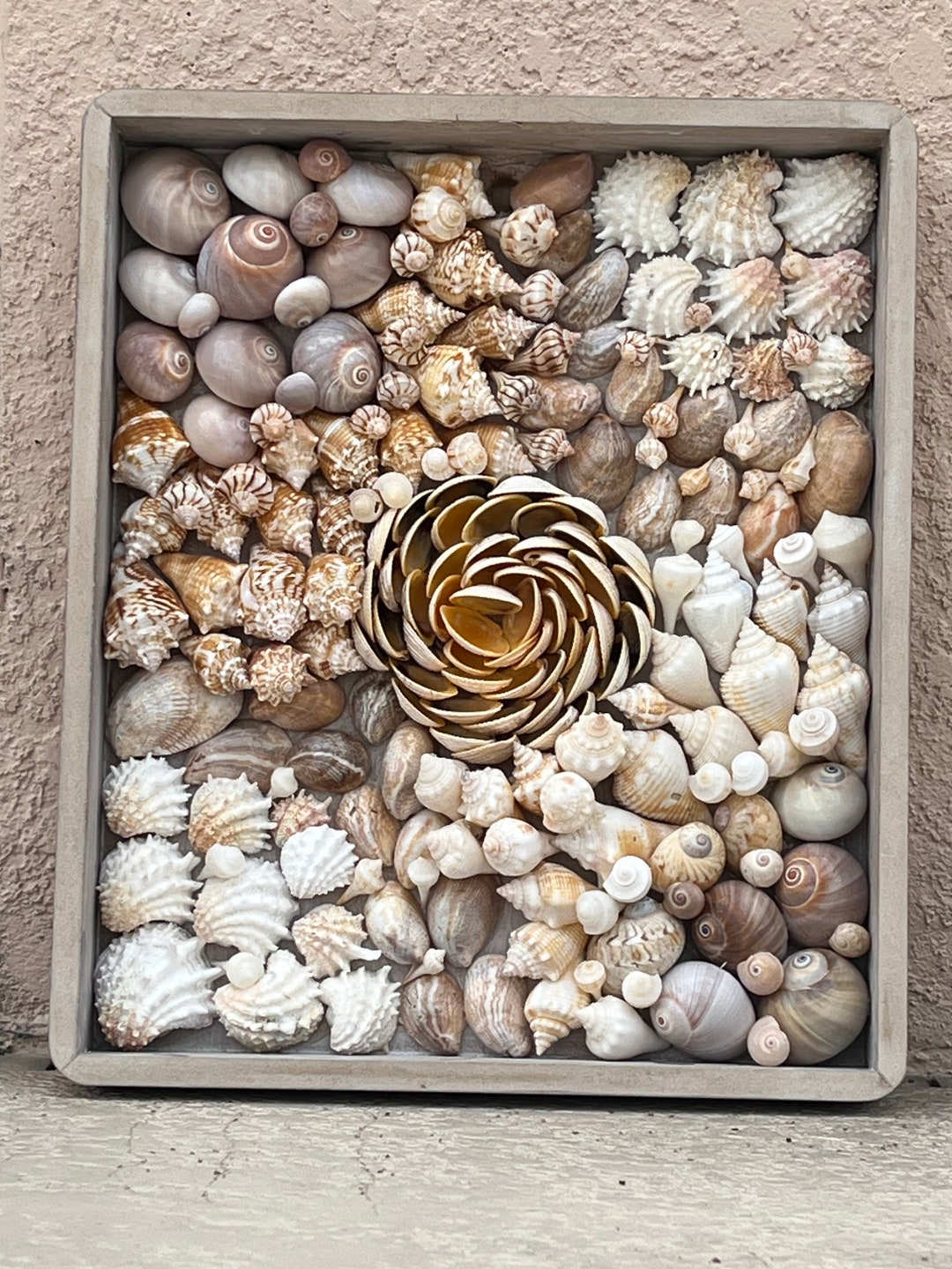 Shell Art Mosaic, Wall Decor - Etsy