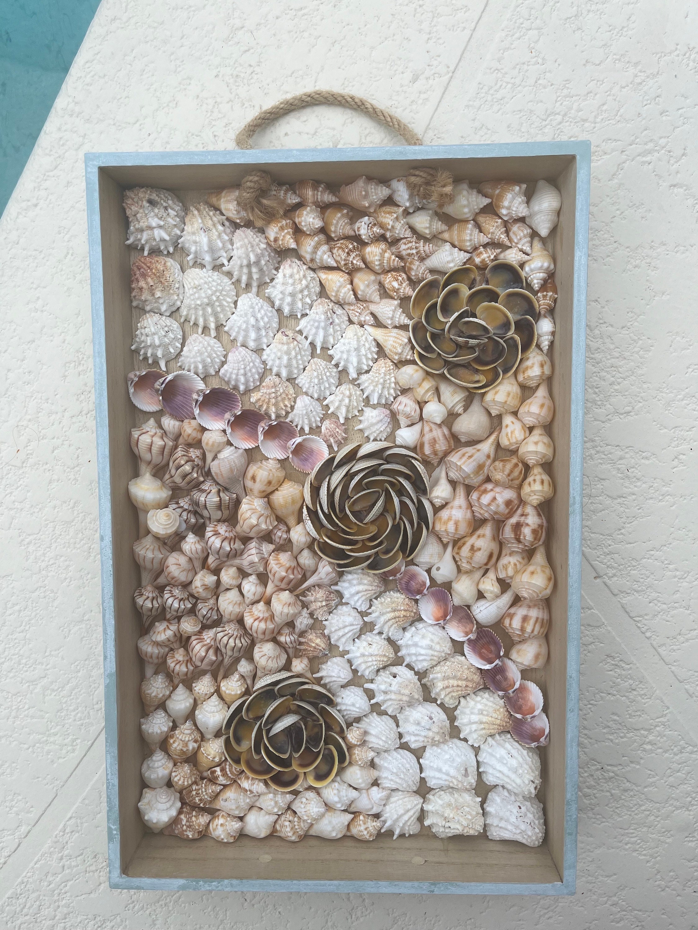 Shell Art Mosaic, Wall Decor - Etsy
