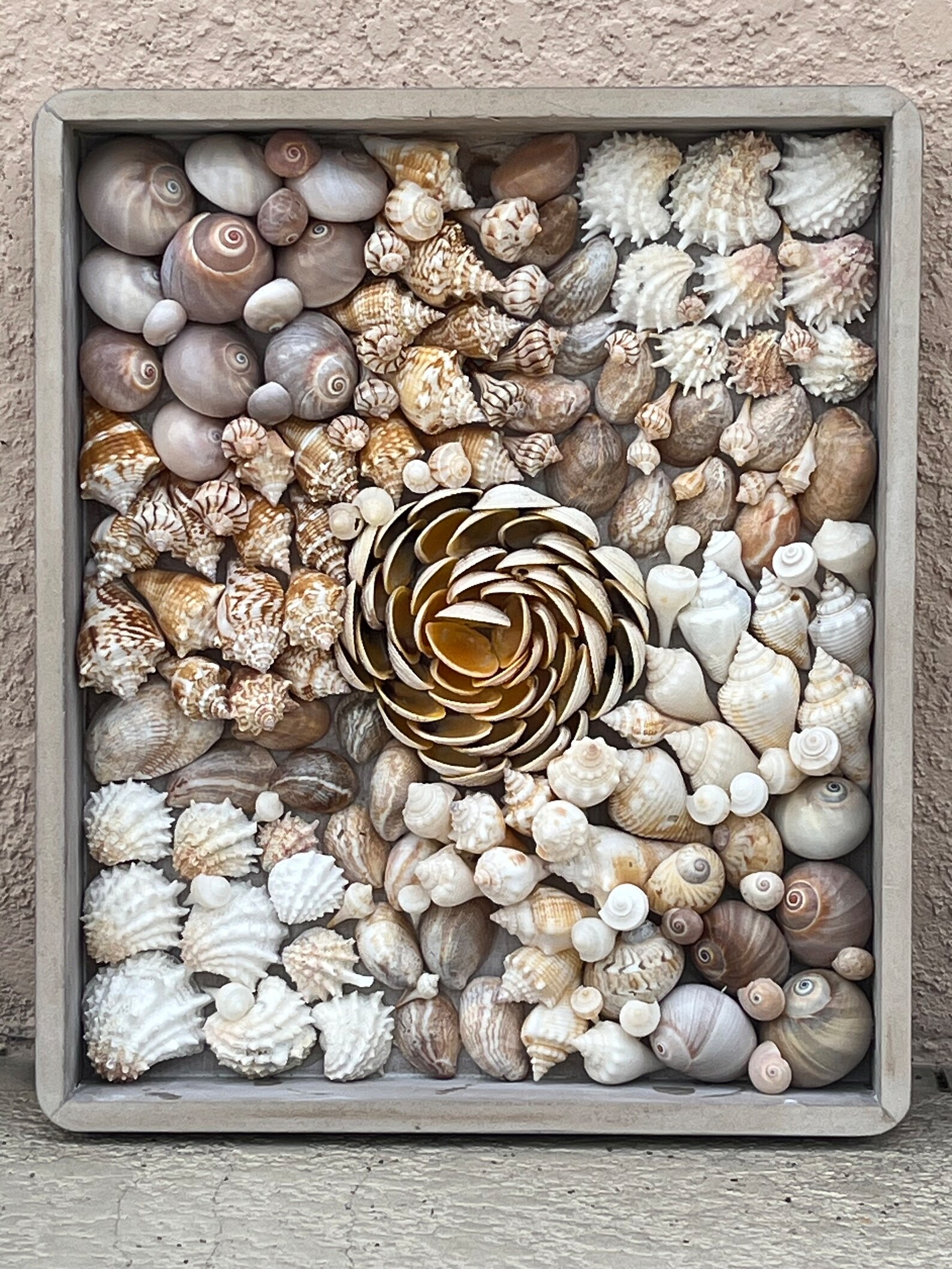 Shell Art Mosaic, Wall Decor - Etsy