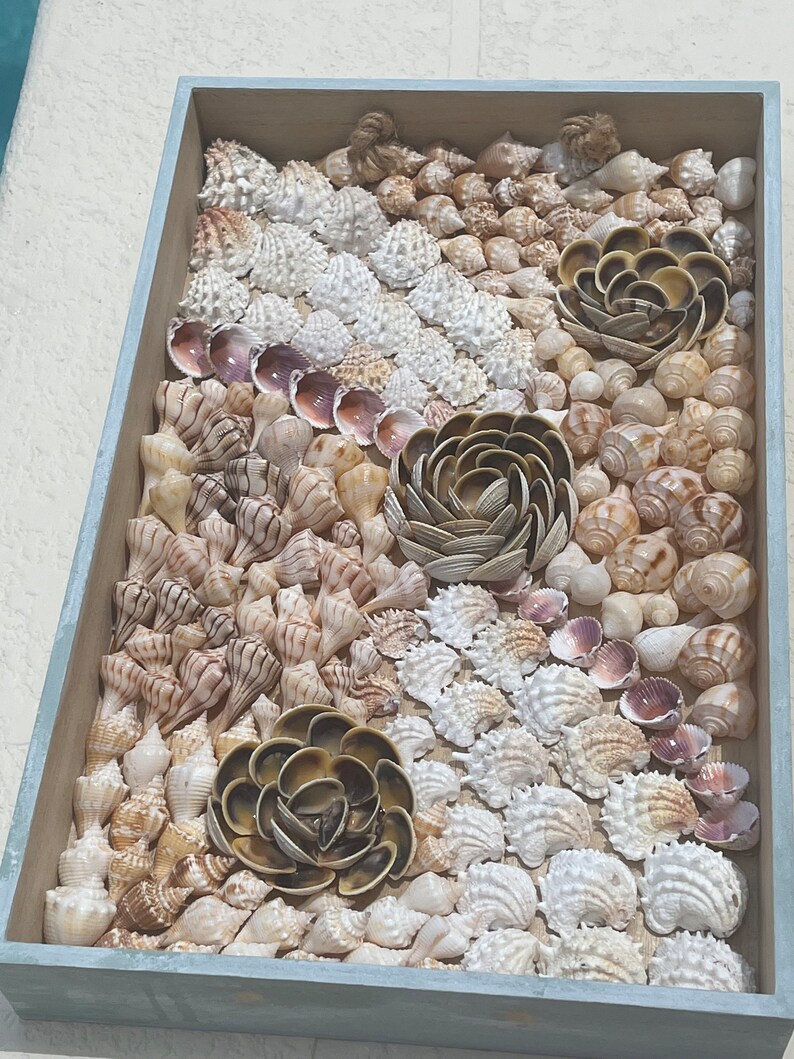 Shell Art Mosaic, Wall Decor - Etsy