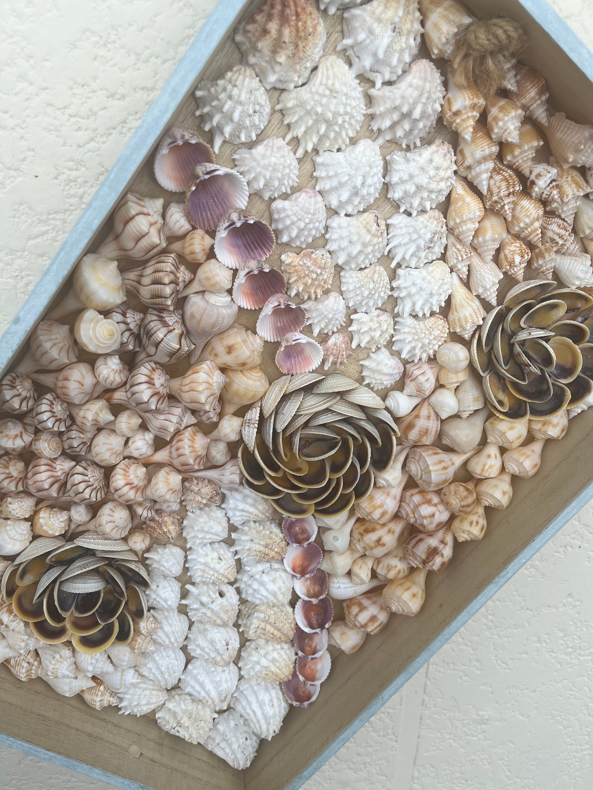 Shell Art Mosaic, Wall Decor - Etsy
