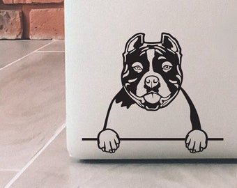 American Bully Window Decal - Etsy