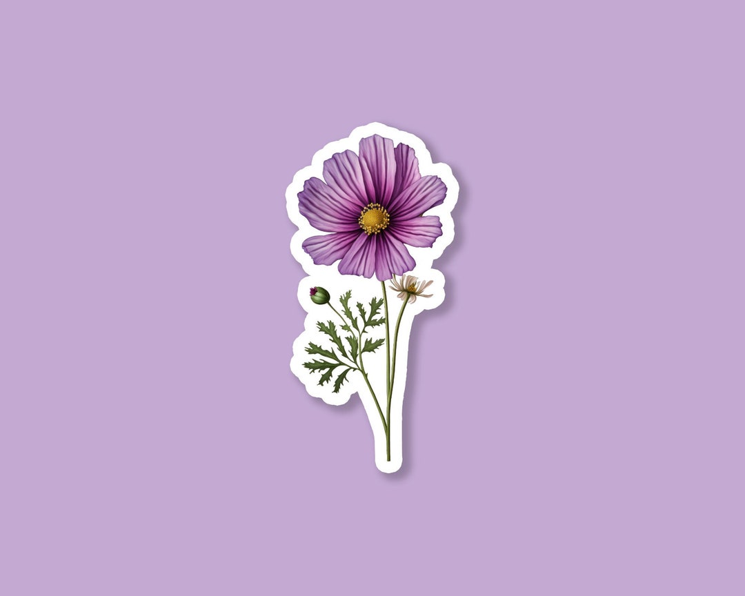 October Birth Flower Sticker, Cosmos Sticker, Birth Flower Sticker ...