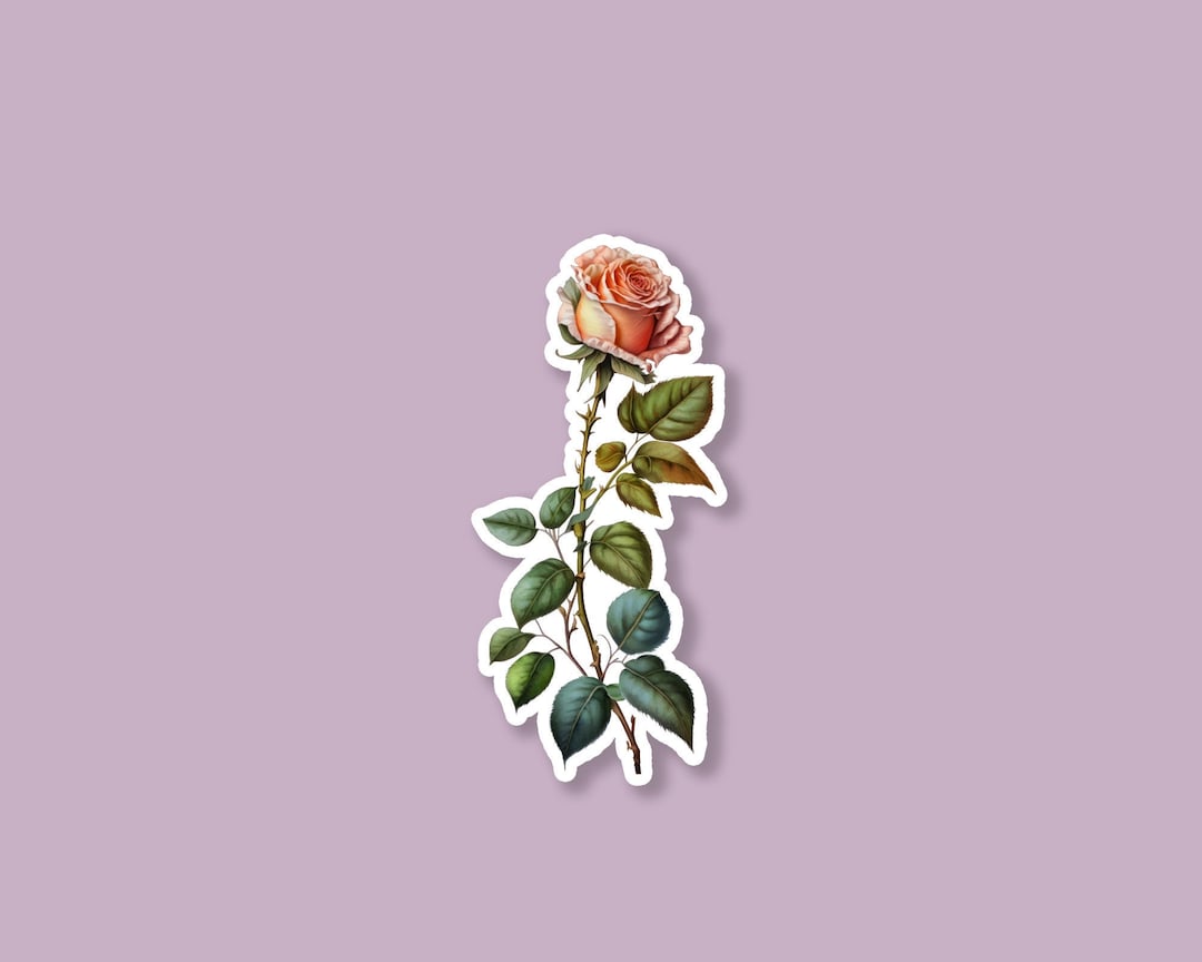 June Birth Flower Sticker, Rose Sticker, Birth Flower Sticker, June ...