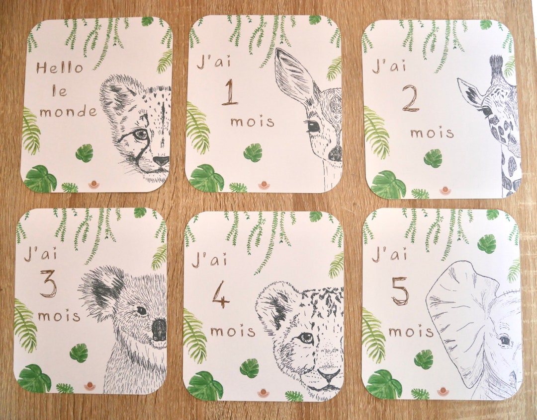Cartes étapes jungle , Cartes étapes bébé , Carte naissance , Carte ...