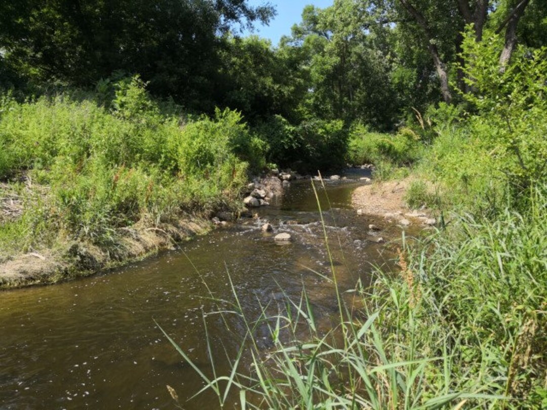 Photo Creek in the Woods of the Midwest - Etsy