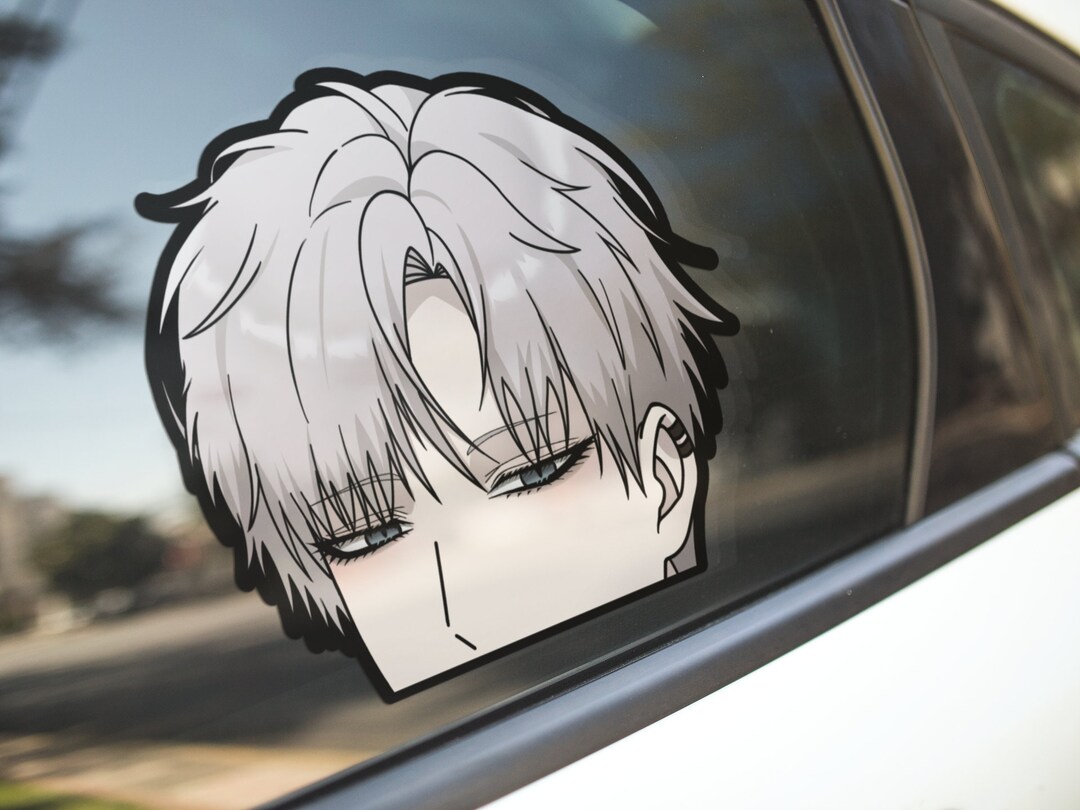 Siyun Peeker Sticker | Waterproof Vinyl Sticker | Laptop Peekers | Car ...