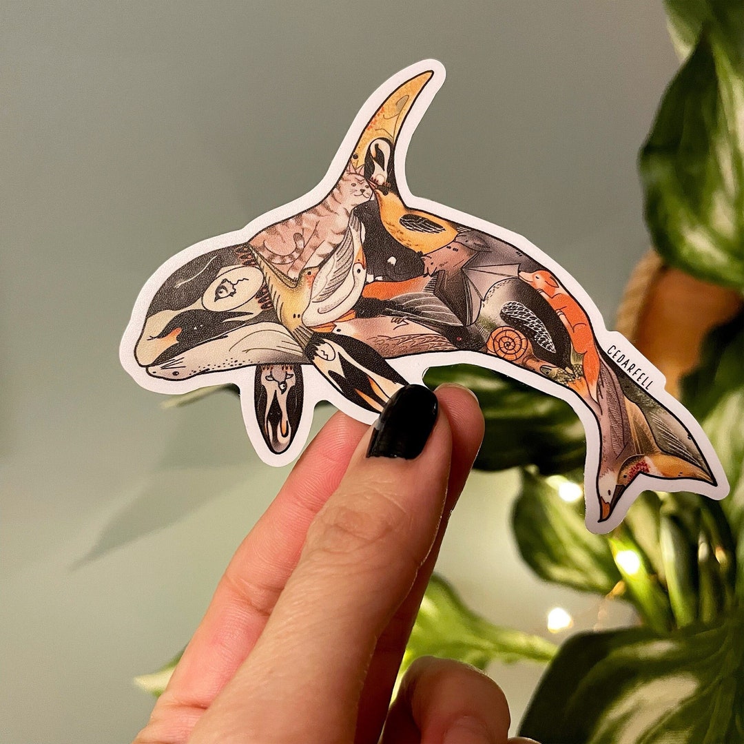 Whimsical Orca Vinyl Sticker – Hand-drawn Watercolor Design, 22 ...