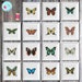 SET OF 15 Butterfly Cross Stitch Pattern Pdf Insect Cross - Etsy
