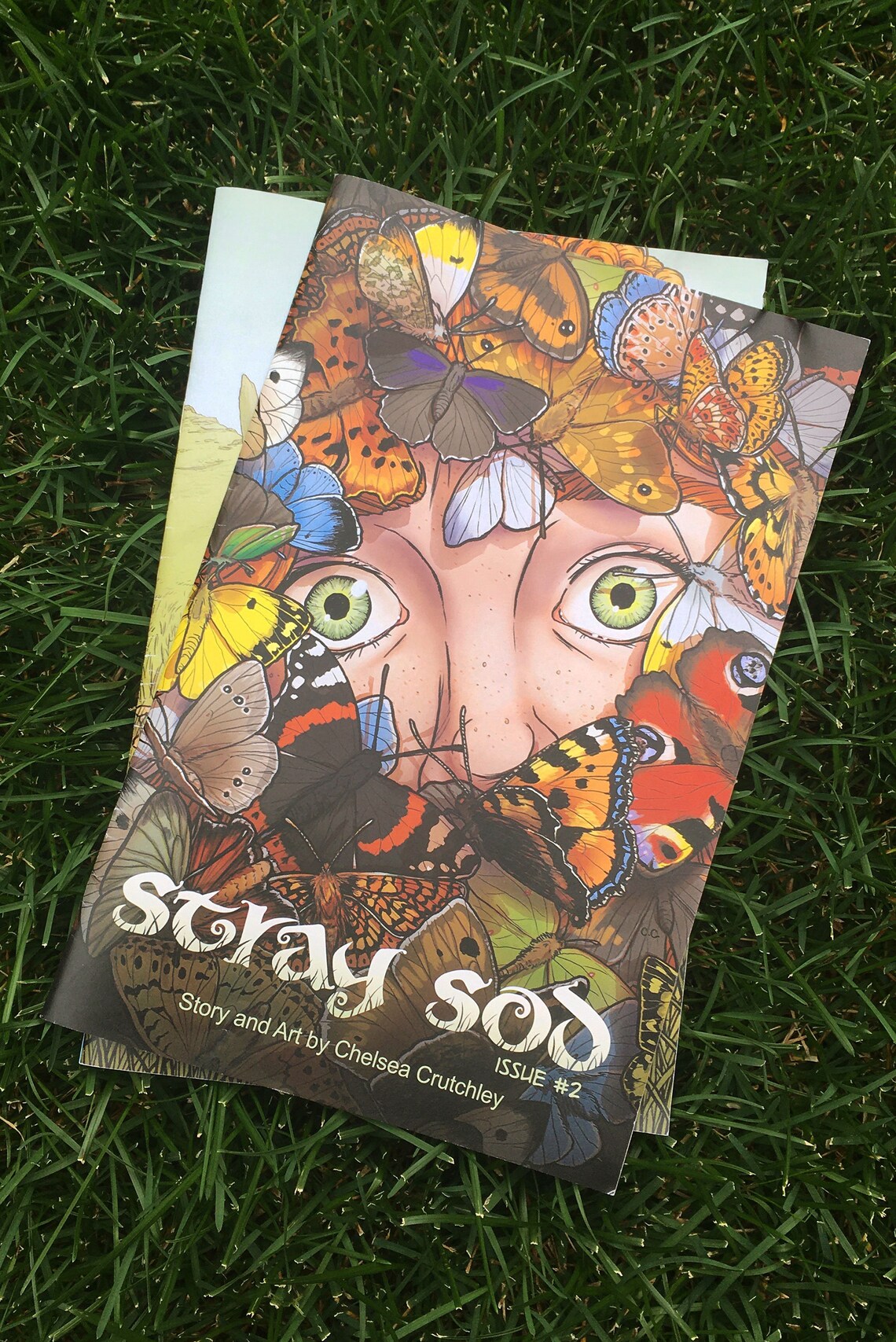 Stray Sod Comic Issue 2 Irish Folklore Adventure - Etsy