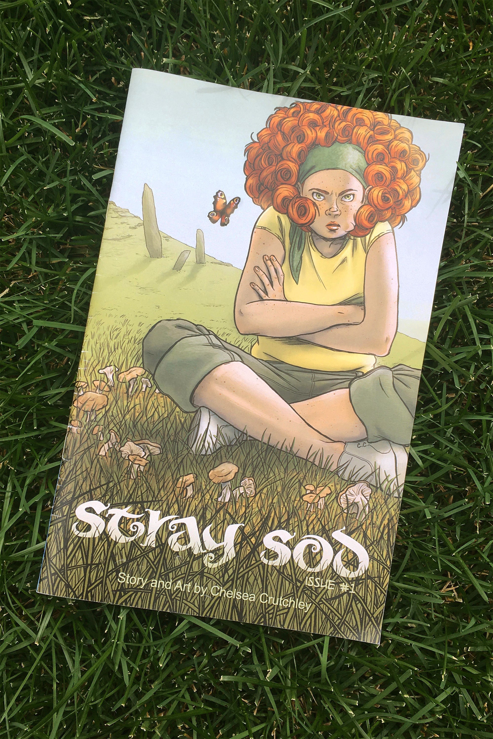 Stray Sod Comic Issue 1 Irish Folklore Adventure - Etsy Canada