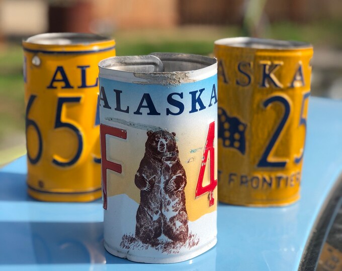 License Plate Planter, Random State, Handmade From Vintage American ...