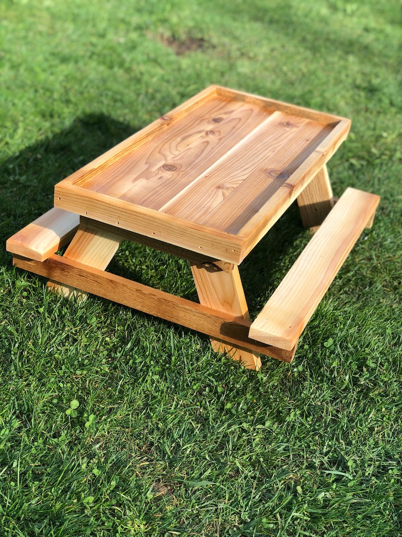 Combo Package: 24" Chicknic Table/ Chicken Swing - Etsy