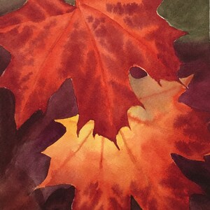 Red Maple Leaf Watercolor Fine Art Print - Etsy