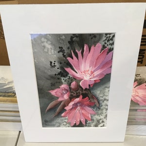 Bitterroot Fine Art Print – Matted - Etsy