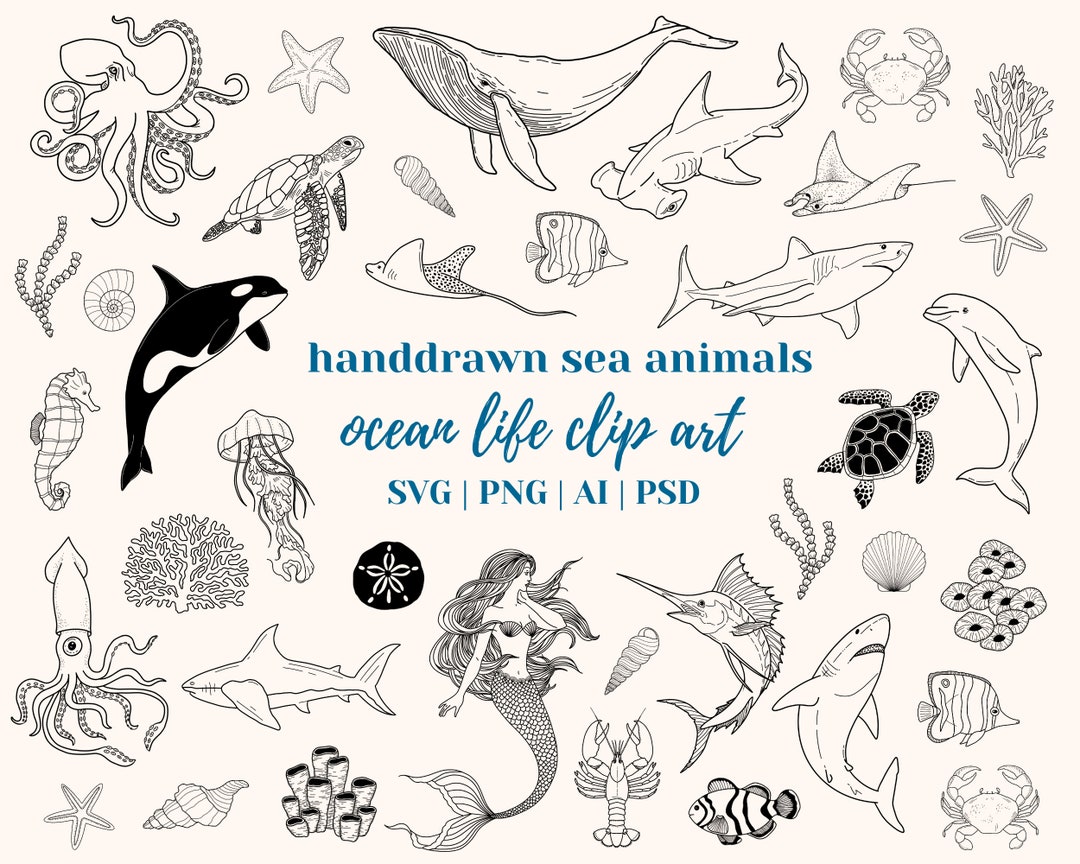 Ocean Life SVG Clipart: Hand-drawn Sea Animals Bundle (digital Download ...