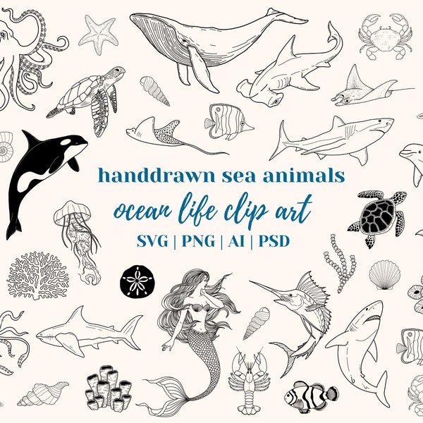 Sea Life Drawing - Etsy