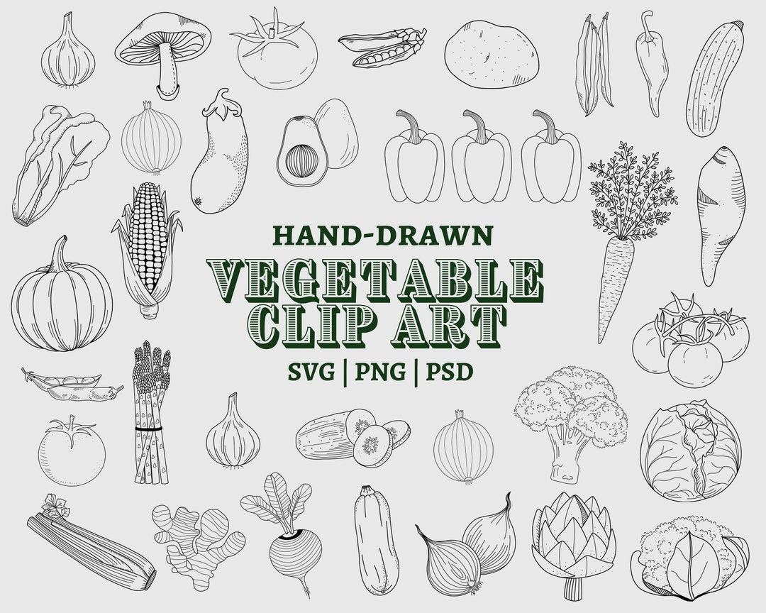 Vegetable SVG Clipart: Hand-drawn Garden Veggies Illustrations (digital ...