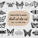 Bug & Insect SVG Bundle | Bug Art | Bug and Insect Clip Art | Bugs ...