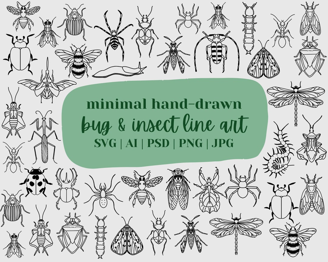 Bug & Insect SVG Bundle | Bug Art | Bug and Insect Clip Art | Bugs ...