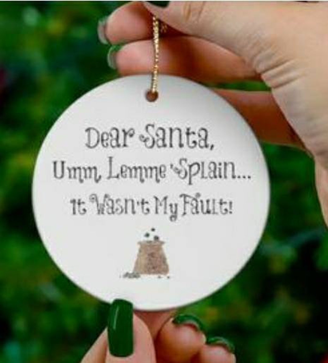 Dear Santa Lemme Splain It Wasn't My Fault Ornament, Dear Santa Let Me ...