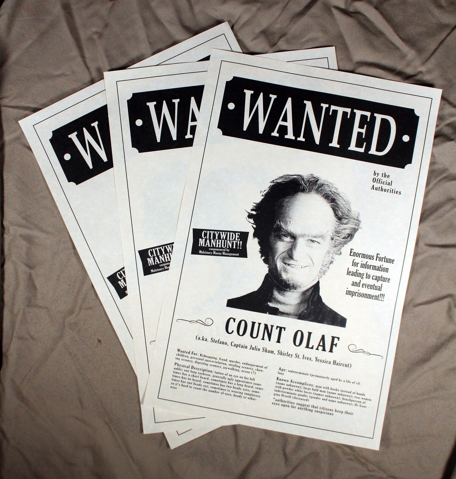 Villainous Fugitive Document (wanted Poster) - Etsy