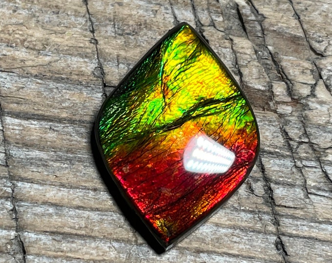 Canadian Ammolite Natural, Freeform Ammonite Gemstone - Etsy