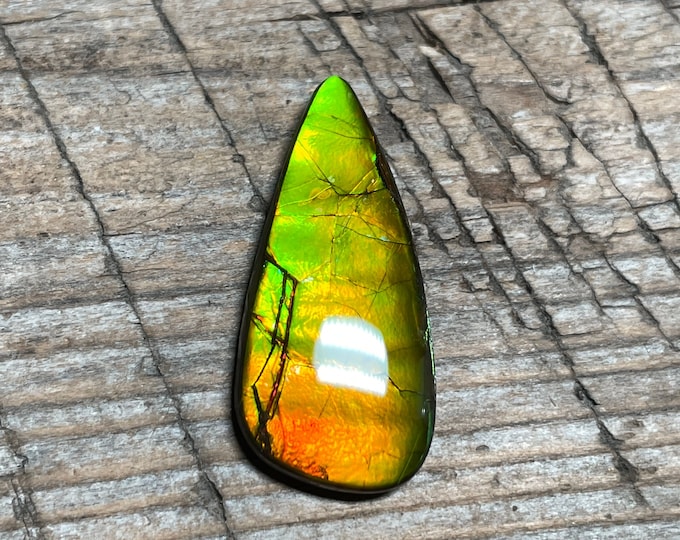 Rainbow Ammolite Cabochon, Rainbow, Canadian Ammonite Fossil Gemstone ...
