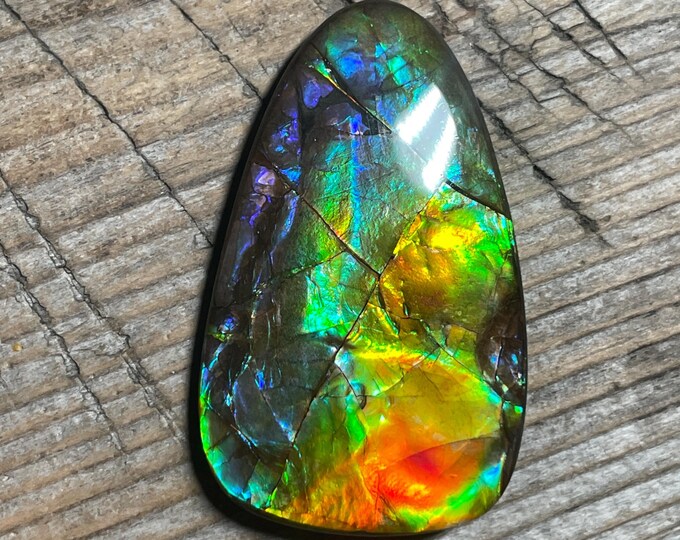 Rainbow Ammolite Cabochon, Rainbow, Canadian Ammonite Fossil Gemstone ...