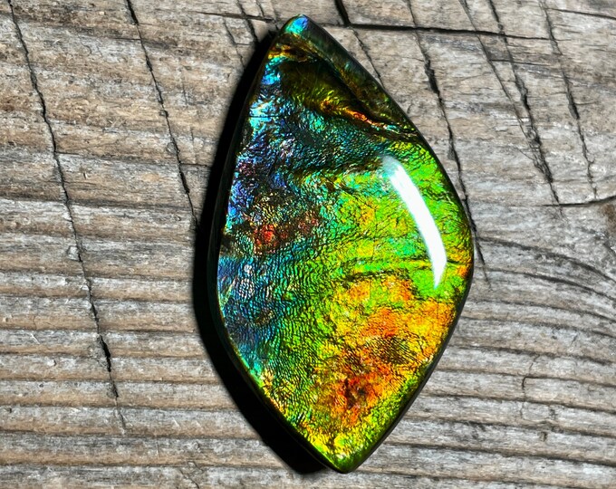 Rare Texture Ammolite Freeform Gemstone Cabochon Canadian Ammonite - Etsy