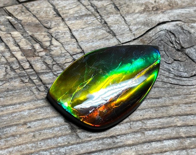 Rainbow Ammolite Cabochon, Rainbow, Canadian Ammonite Fossil Gemstone ...