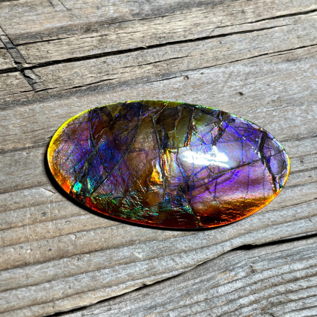 Collector's Special Rare Pink Polished Ammolite Natural, Freeform ...