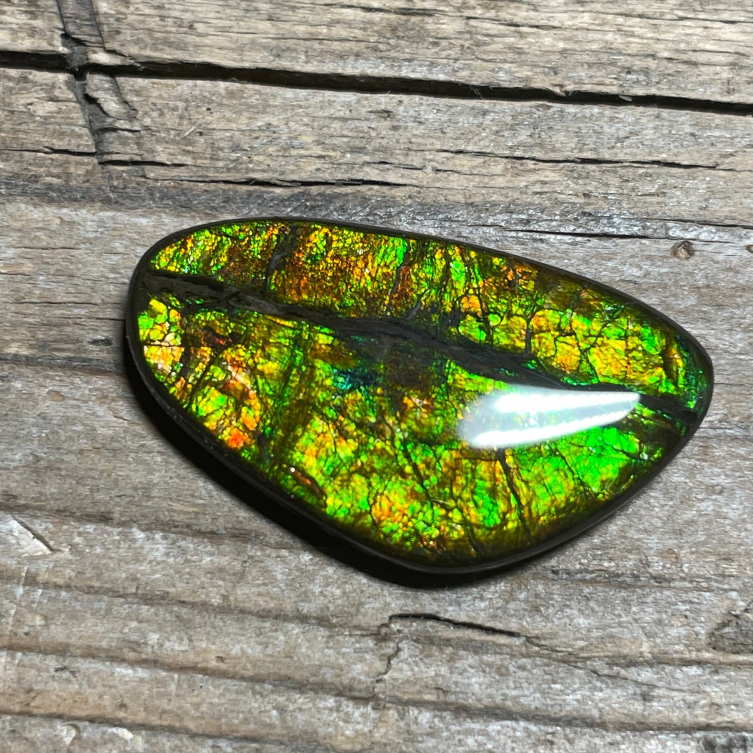 Canadian Ammolite Natural, Freeform Ammonite Gemstone - Etsy