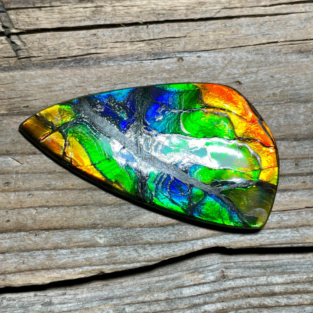 Polished Ammolite Natural, Freeform Canadian Ammonite Gemstone - Etsy