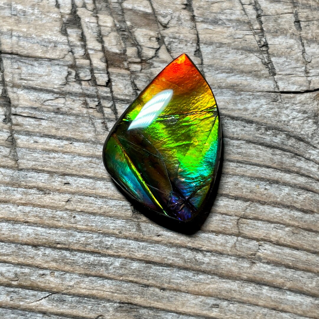 Canadian Ammolite Natural, Freeform Ammonite Gemstone - Etsy