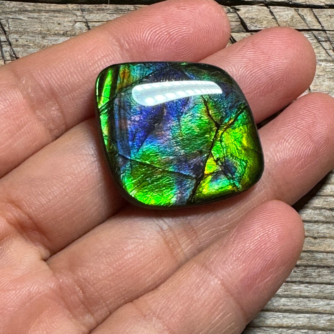 Canadian Ammolite Natural, Freeform Ammonite Gemstone - Etsy