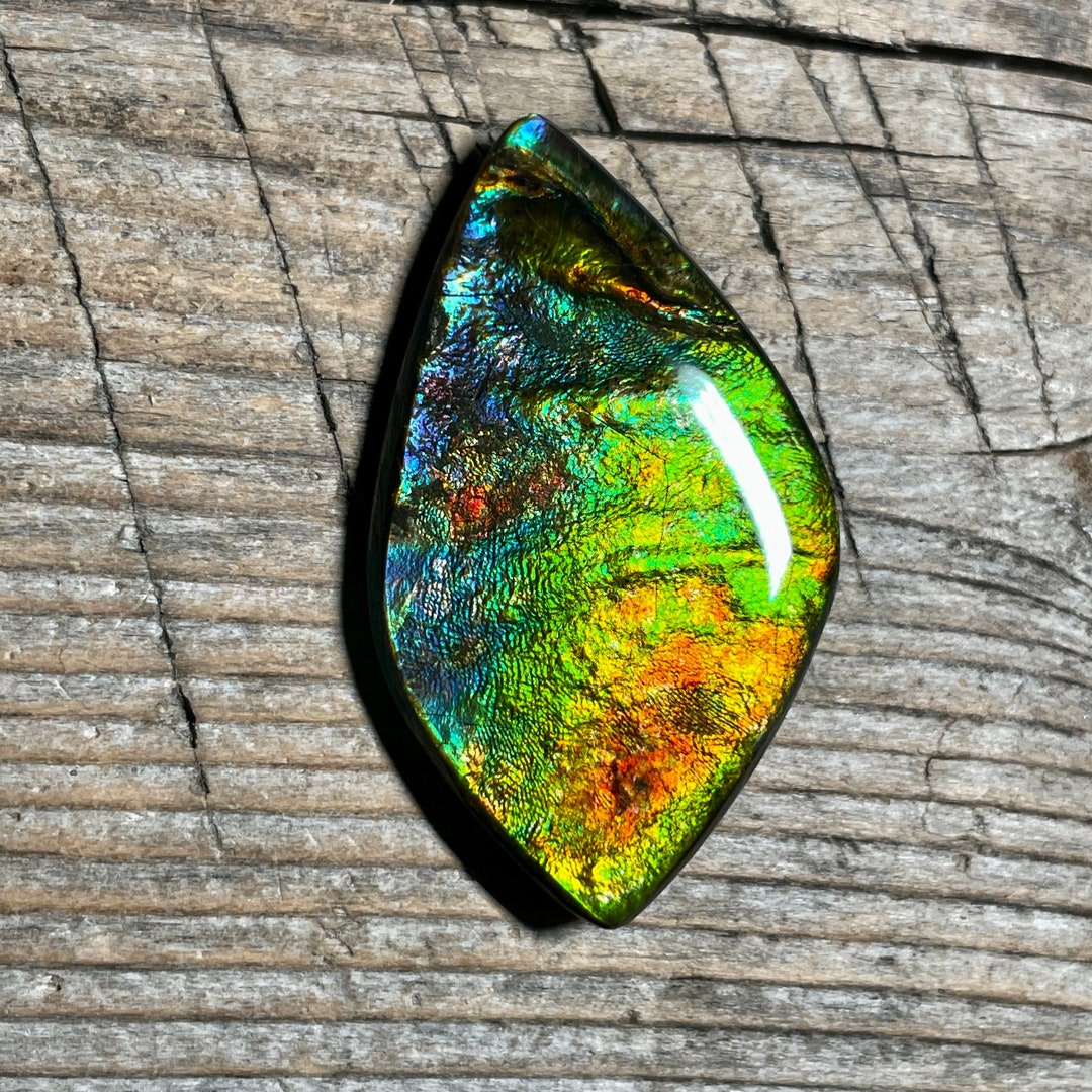 Rare Texture Ammolite Freeform Gemstone Cabochon Canadian - Etsy