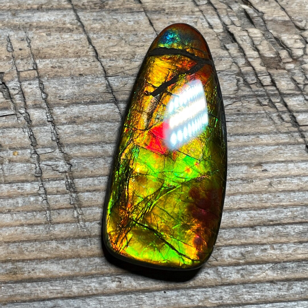Freeform Ammolite Gemstone, Canadian Ammonite Fossil - Etsy