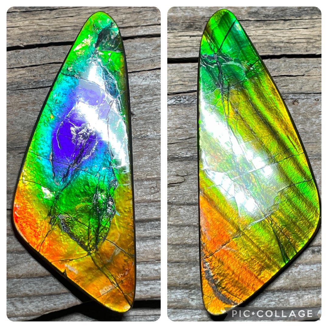 Imperial Double Sided Polished Ammolite Gem Display, Natural Canadian ...