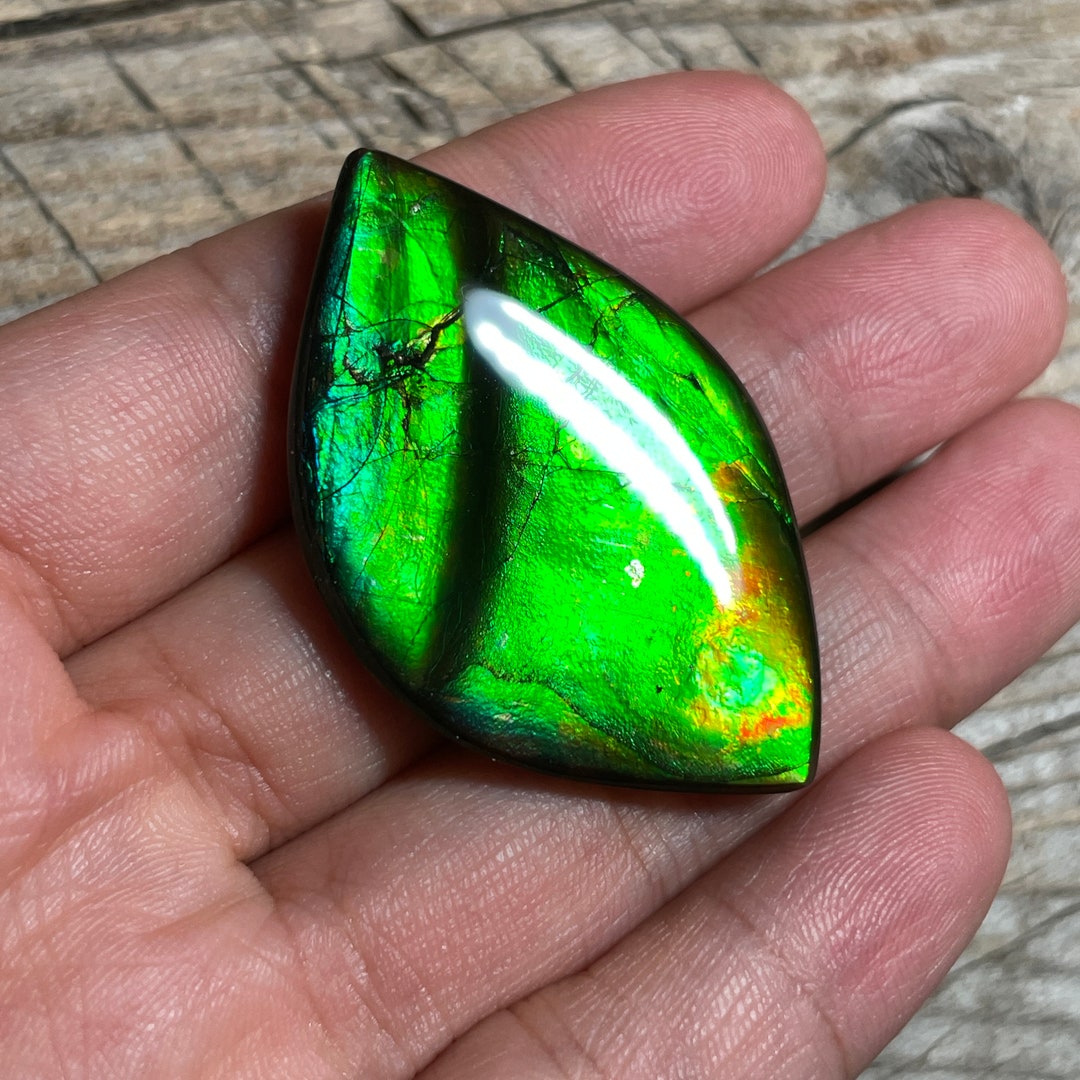 Green Ammolite Stone, Loose Gemstone, Canadian Ammonite Fossil - Etsy