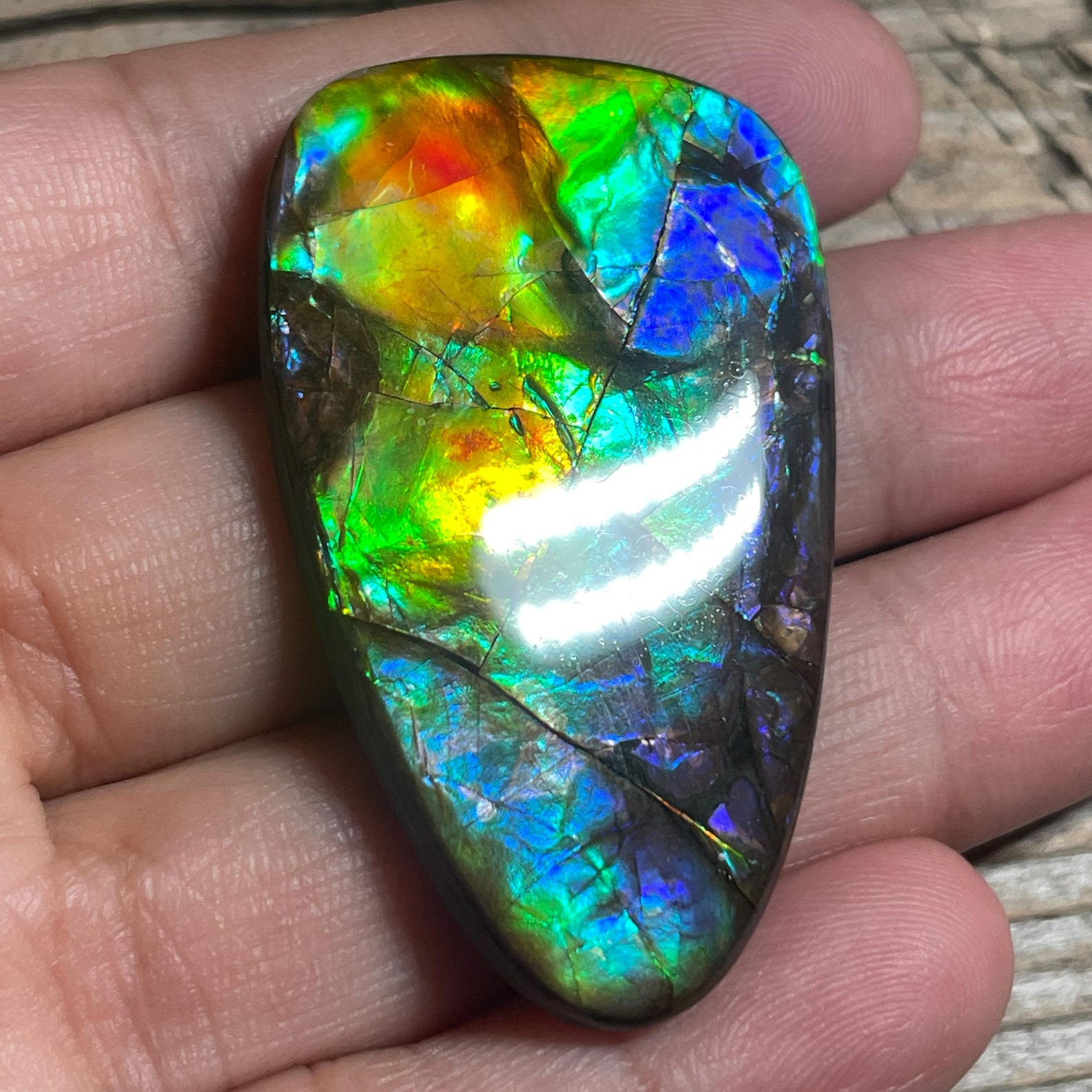 Rainbow Ammolite Cabochon, Rainbow, Canadian Ammonite Fossil Gemstone ...