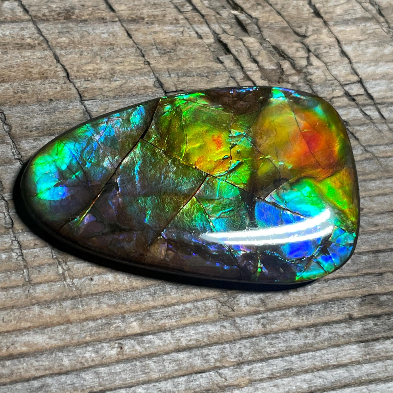 Rainbow Ammolite Cabochon, Rainbow, Canadian Ammonite Fossil Gemstone ...