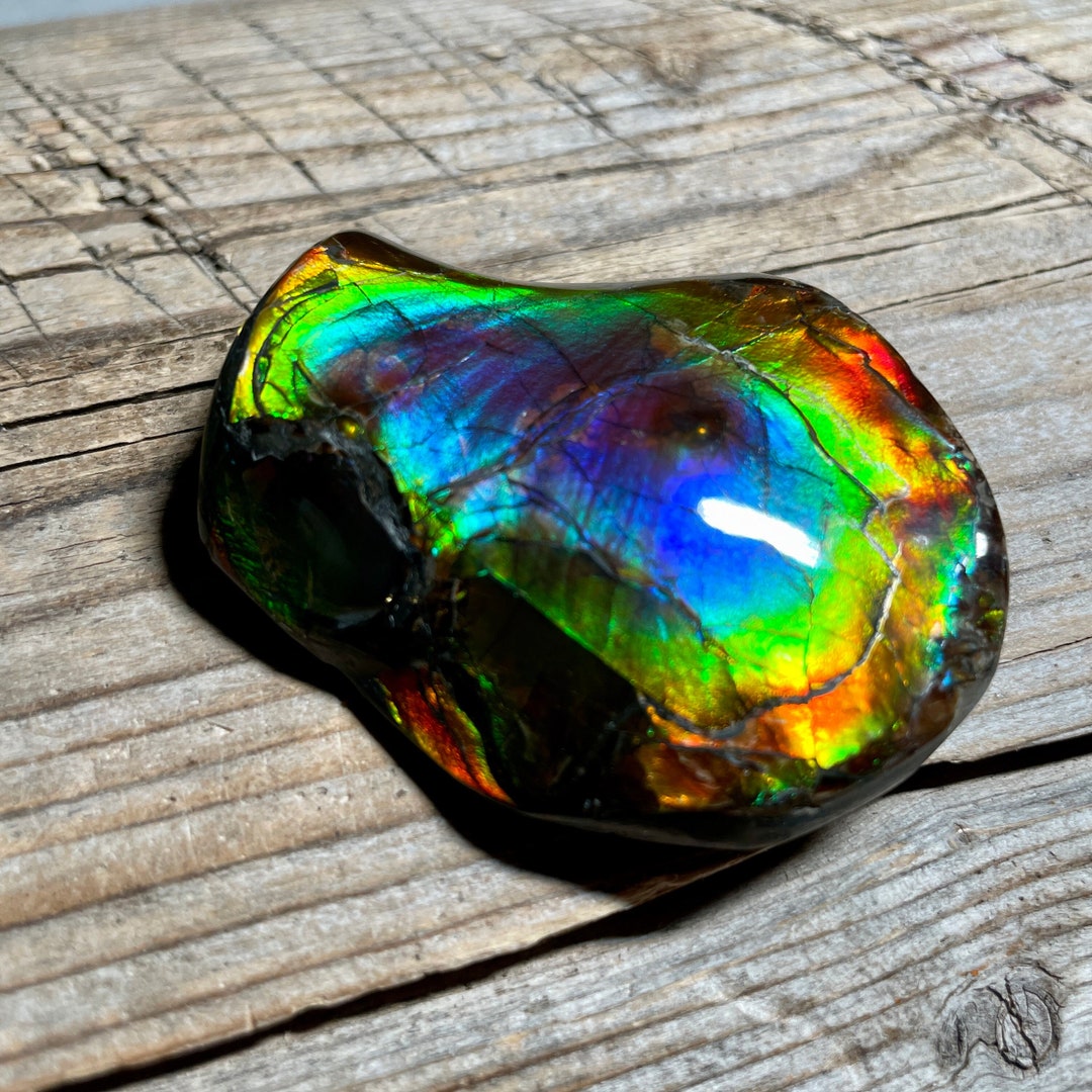 Rainbow Colour Polished Ammolite Display - Etsy